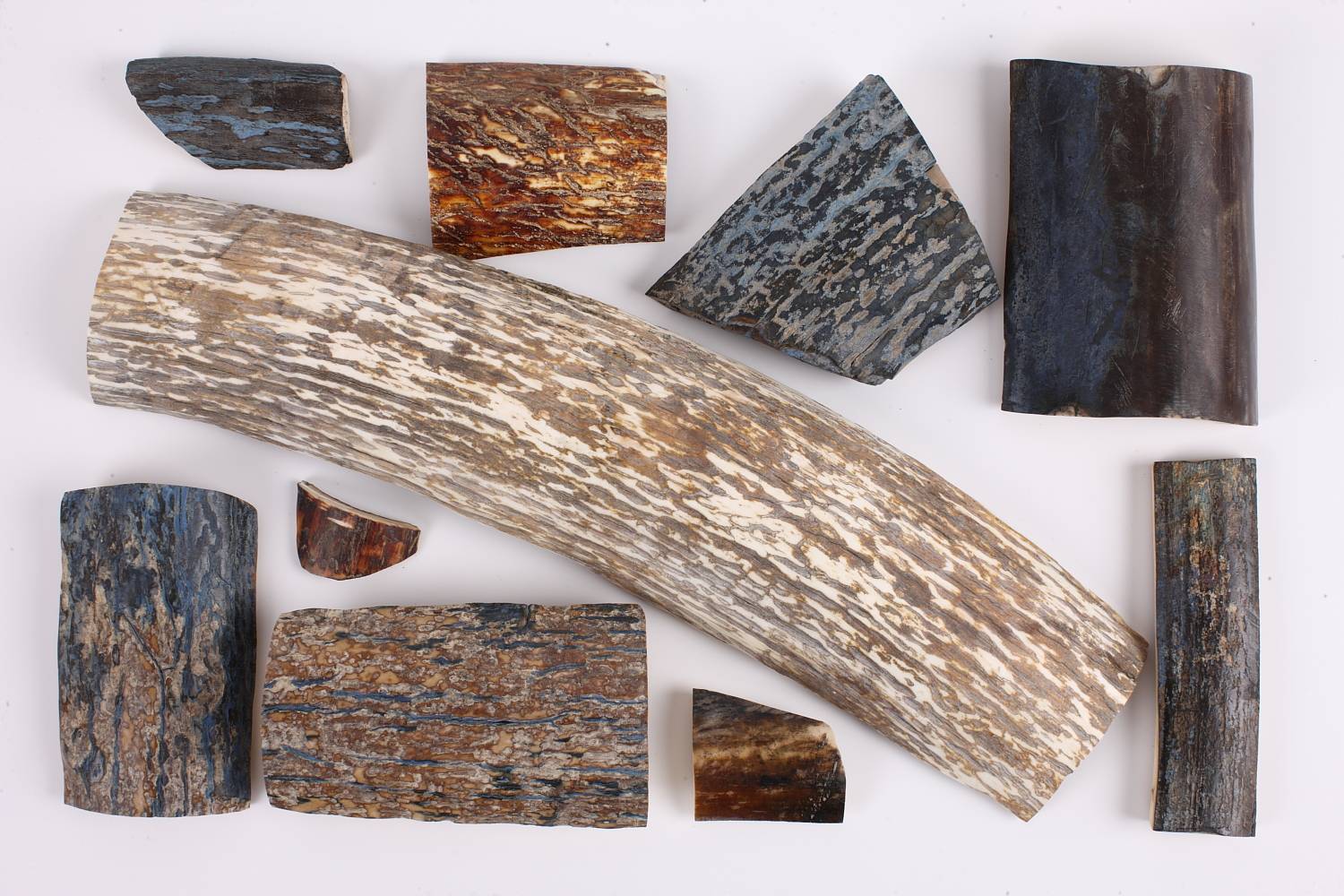 Fossil Mammoth Ivory – Arctic Antiques
