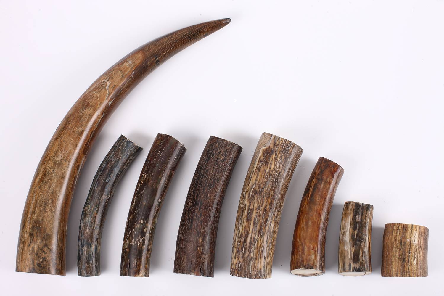 What is Mammoth Ivory? – Arctic Antiques