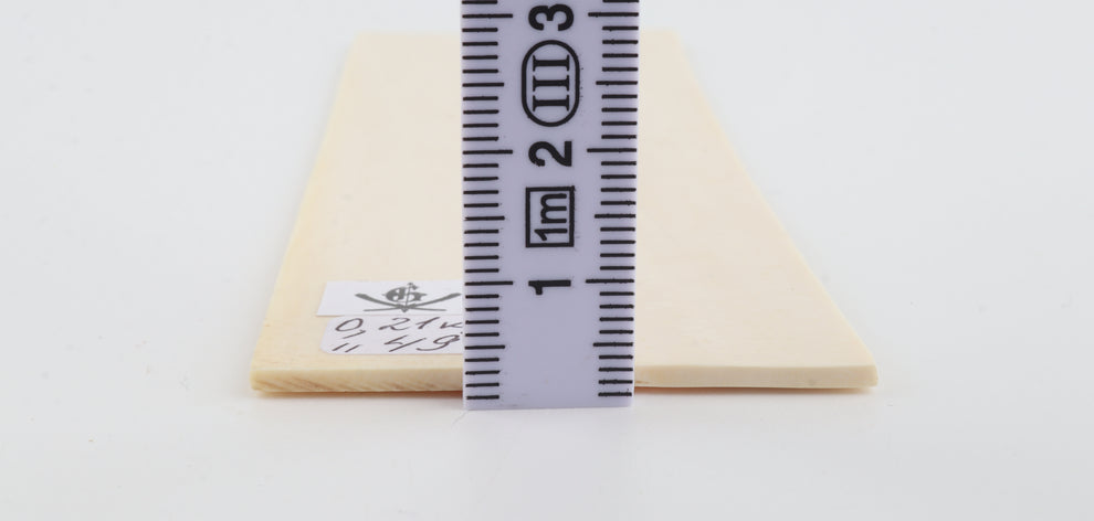 Natural mammoth ivory scales – Arctic Antiques