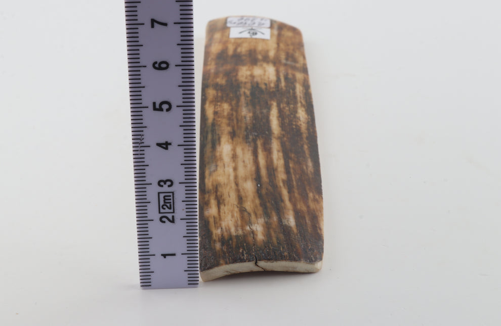 Brown mammoth bark – Arctic Antiques