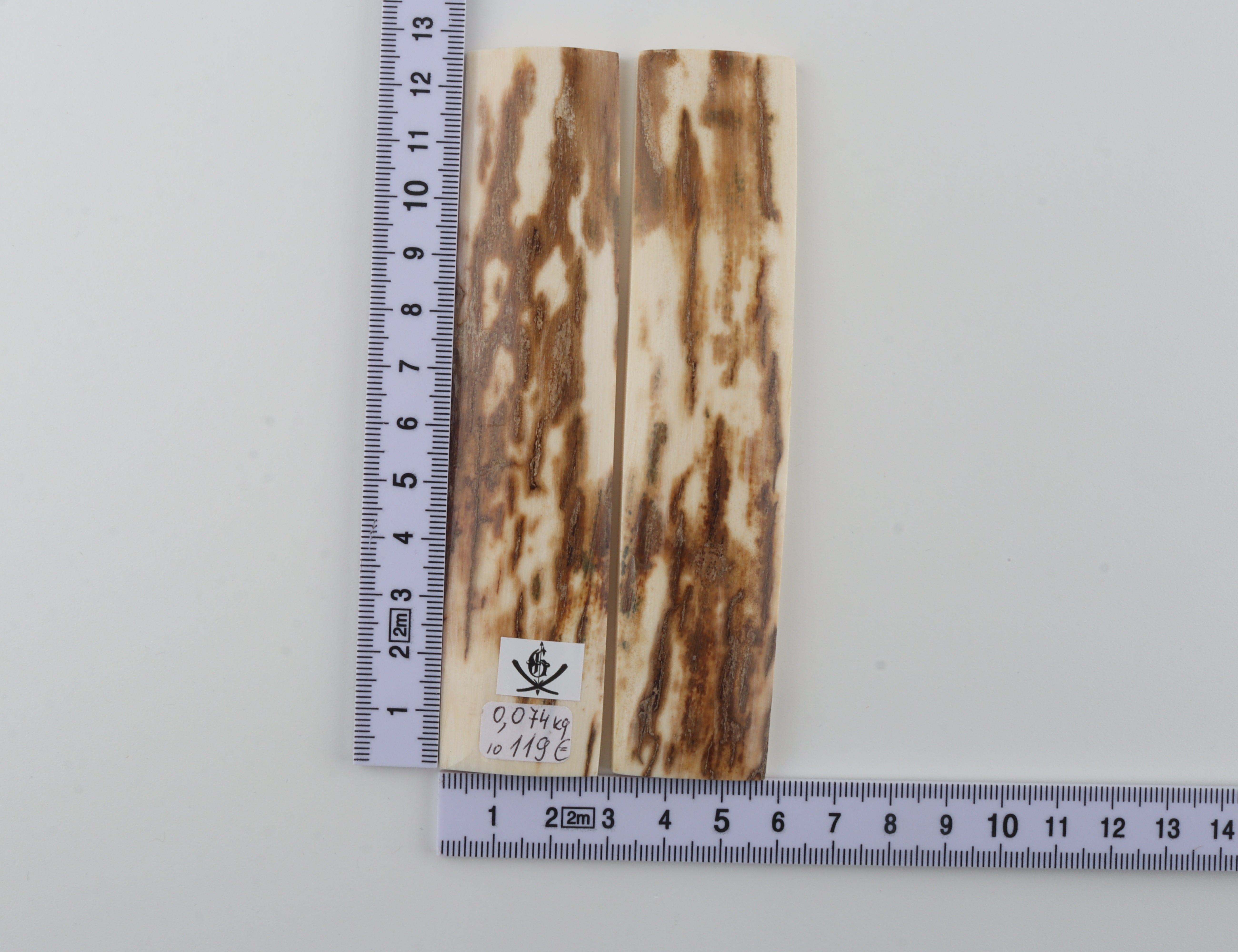 Natural mammoth bark scales – Arctic Antiques