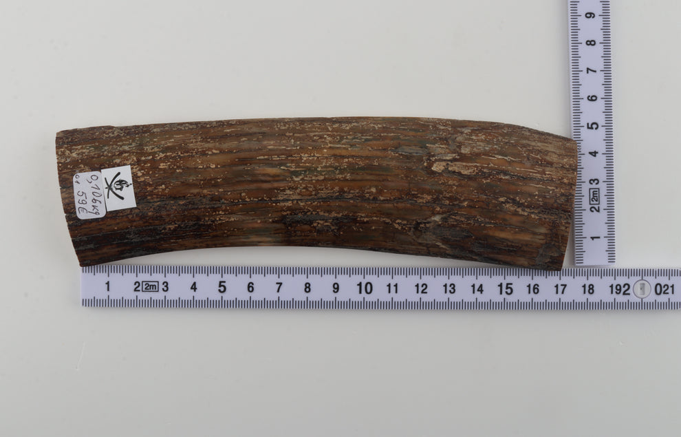 Brown mammoth bark – Arctic Antiques