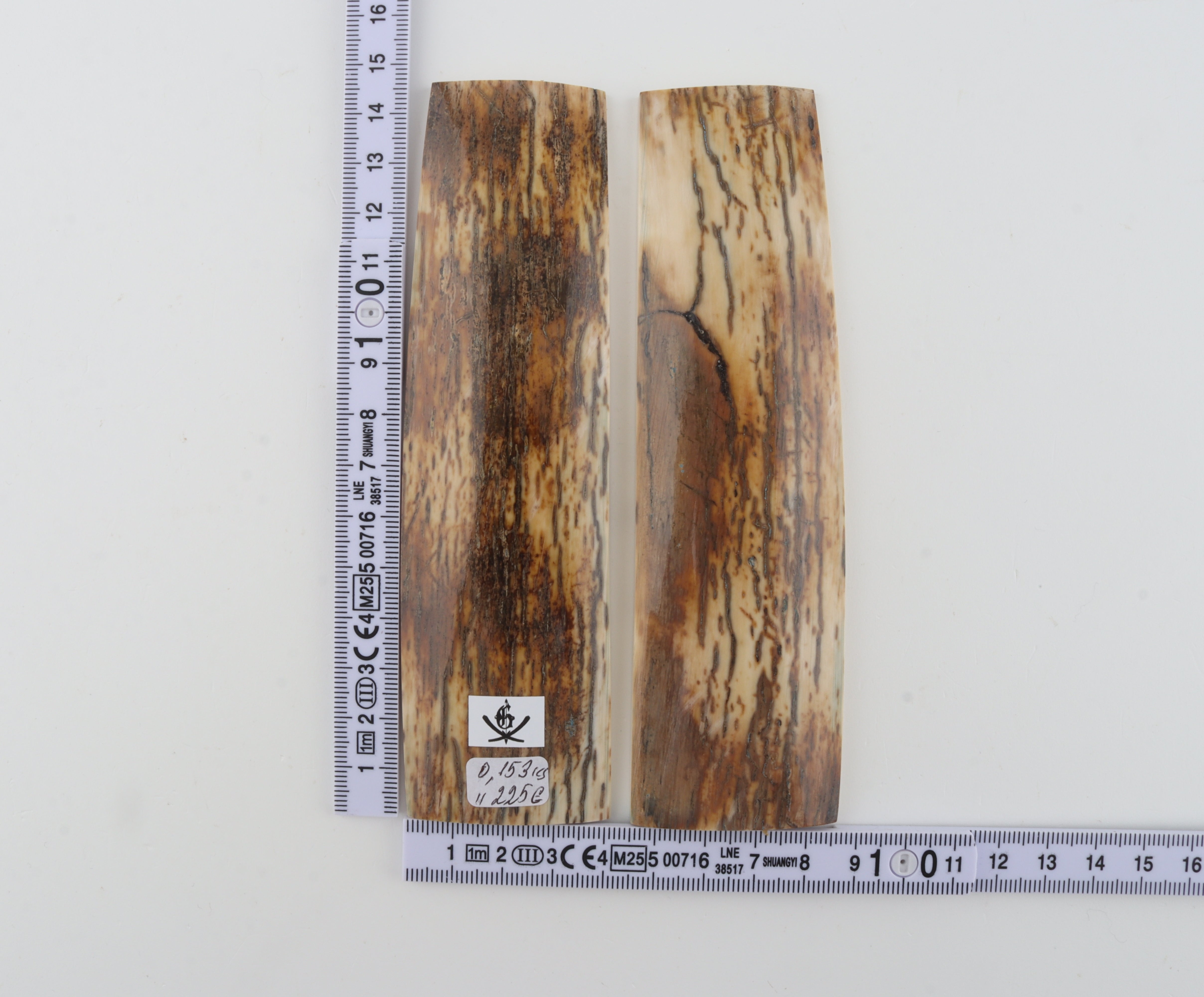 Natural mammoth bark scales – Arctic Antiques