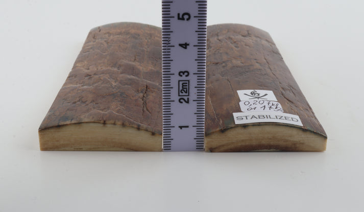 Stabilized mammoth bark scales – Arctic Antiques