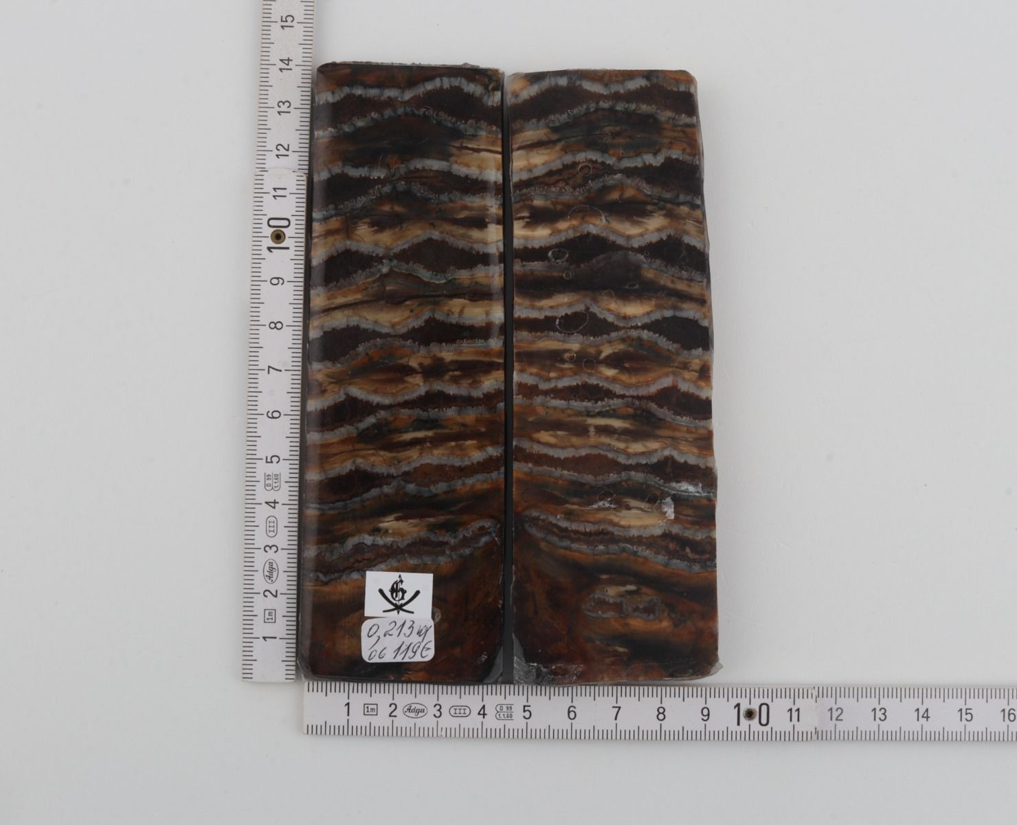 Stabilised mammoth molar scales – Arctic Antiques