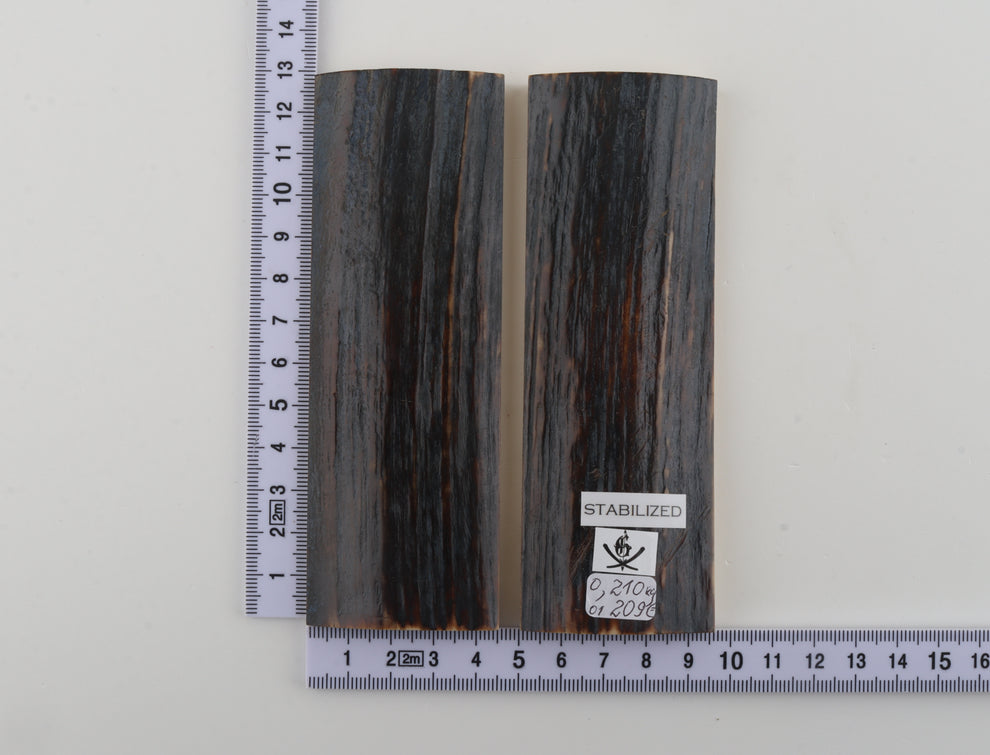 Stabilised mammoth bark scales – Arctic Antiques