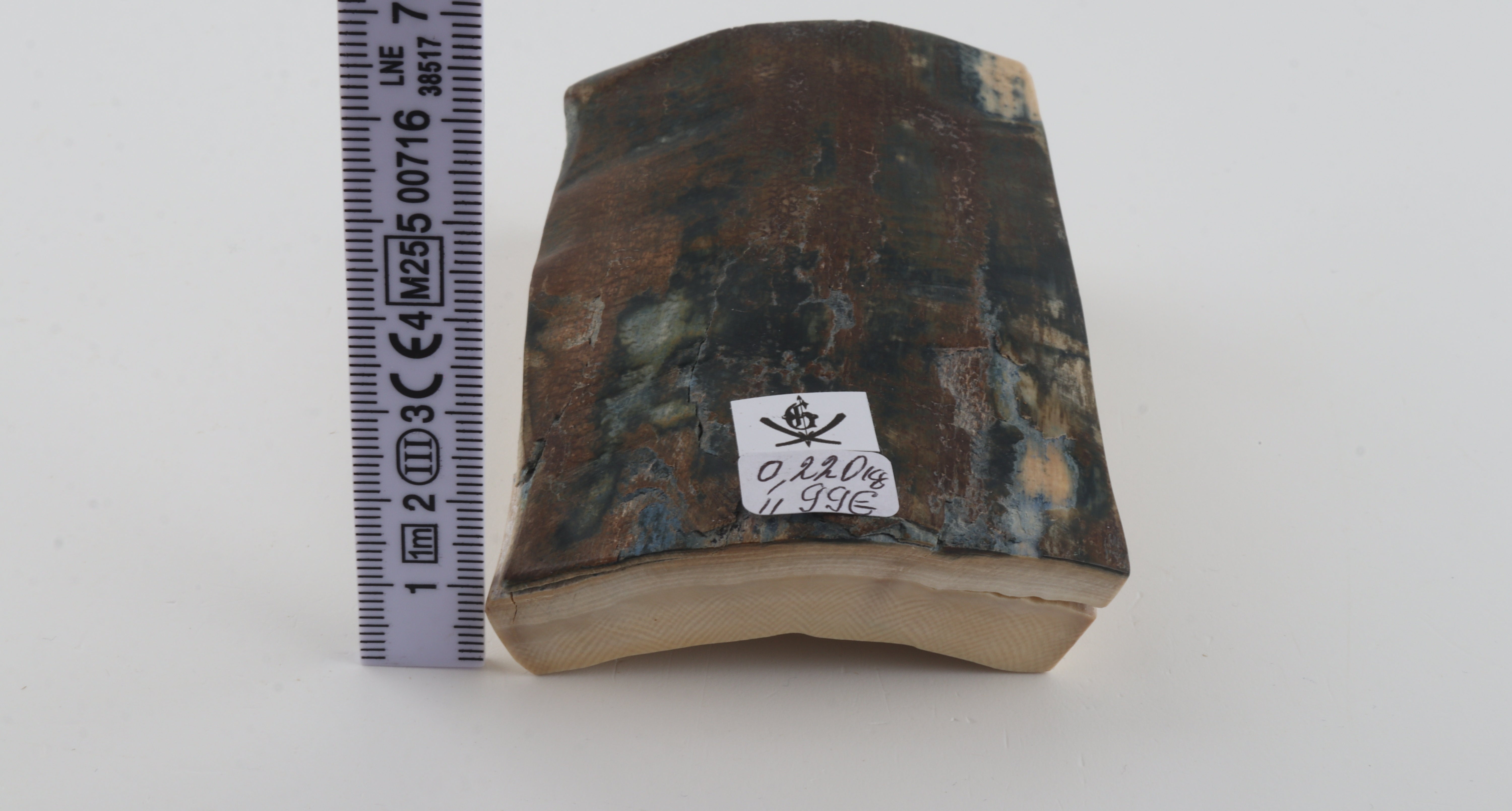 Brown-blue mammoth bark – Arctic Antiques