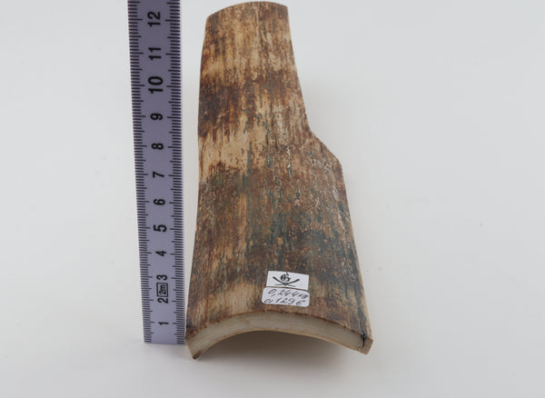 Natural mammoth bark – Arctic Antiques