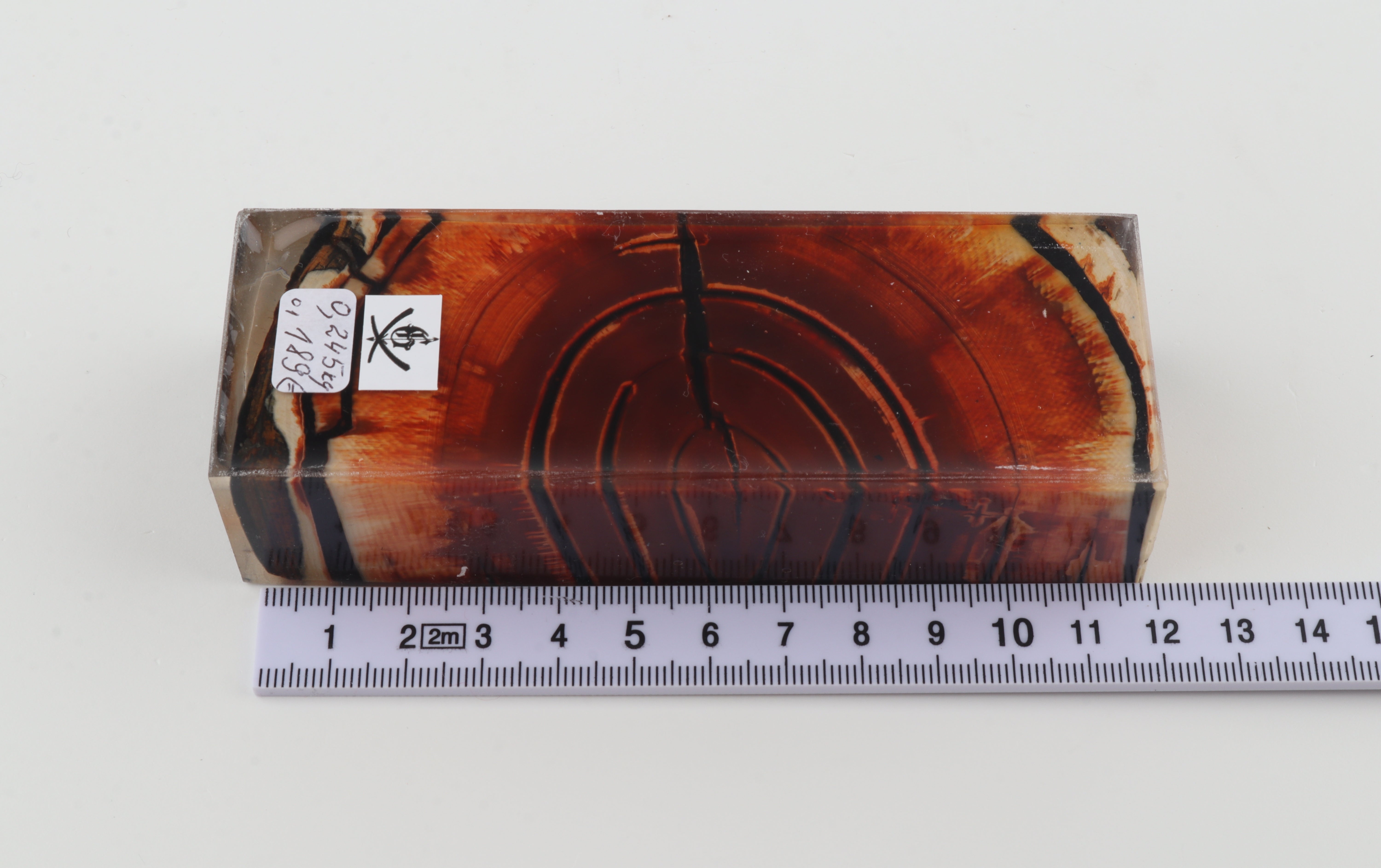 Stabilized mammoth ivory block – Arctic Antiques