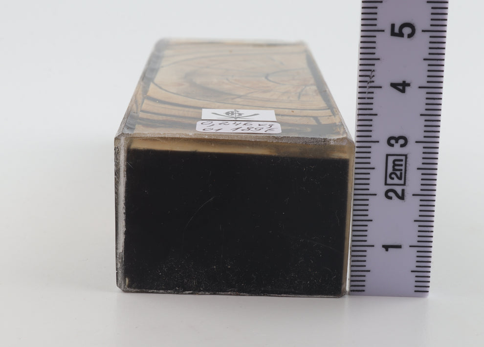 Stabilized mammoth ivory block – Arctic Antiques