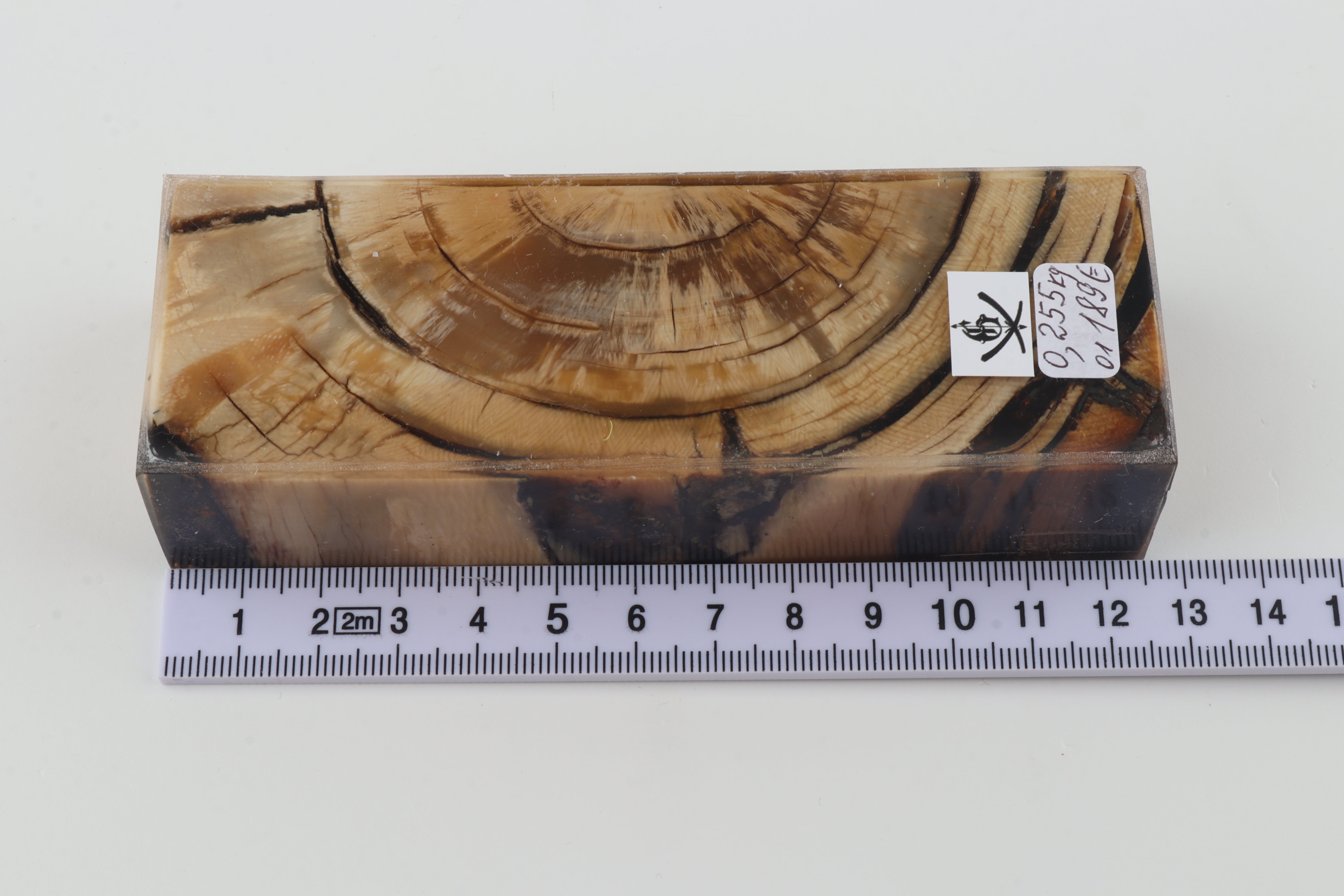 Stabilized mammoth ivory block – Arctic Antiques