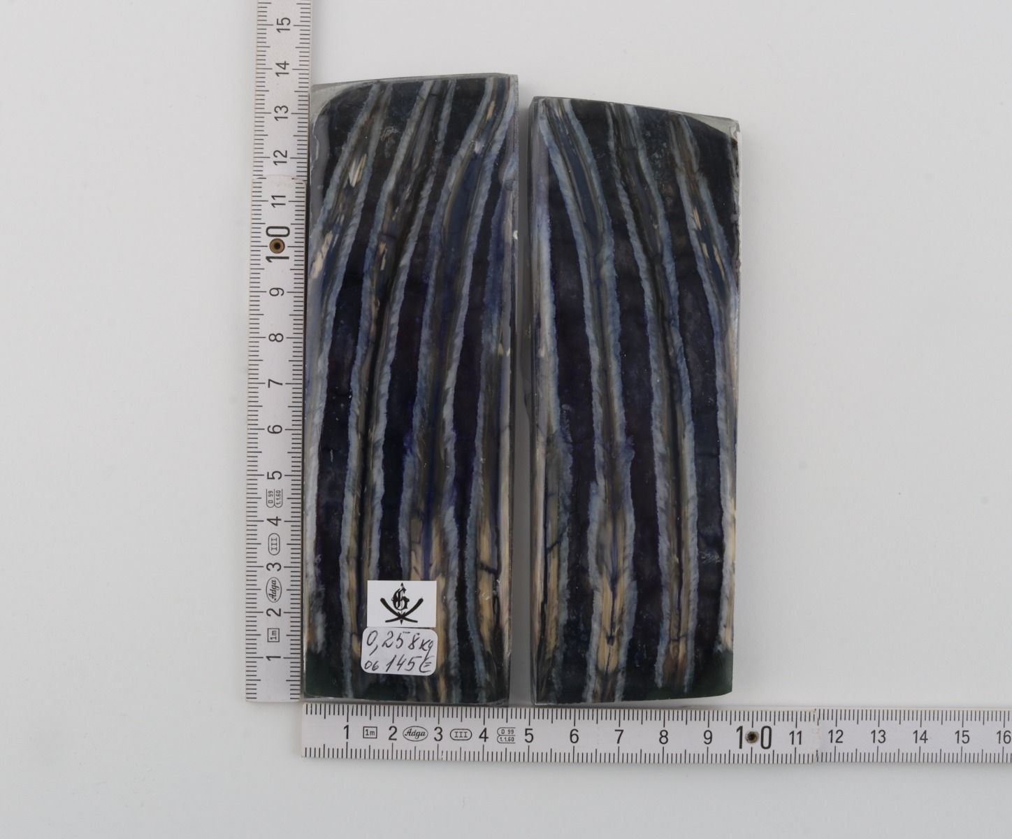 Stabilized mammoth molar scales – Arctic Antiques