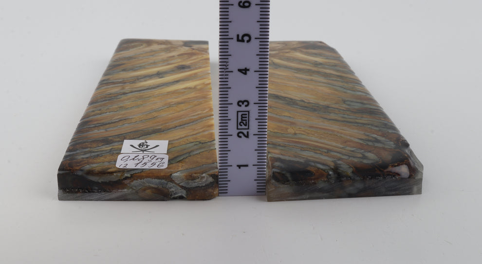 Stabilised mammoth molar scales – Arctic Antiques