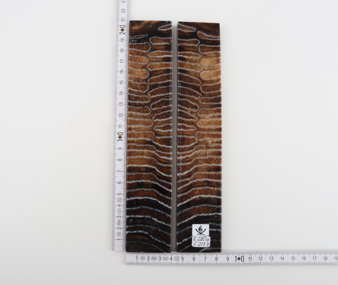 Stabilised mammoth molar scales – Arctic Antiques