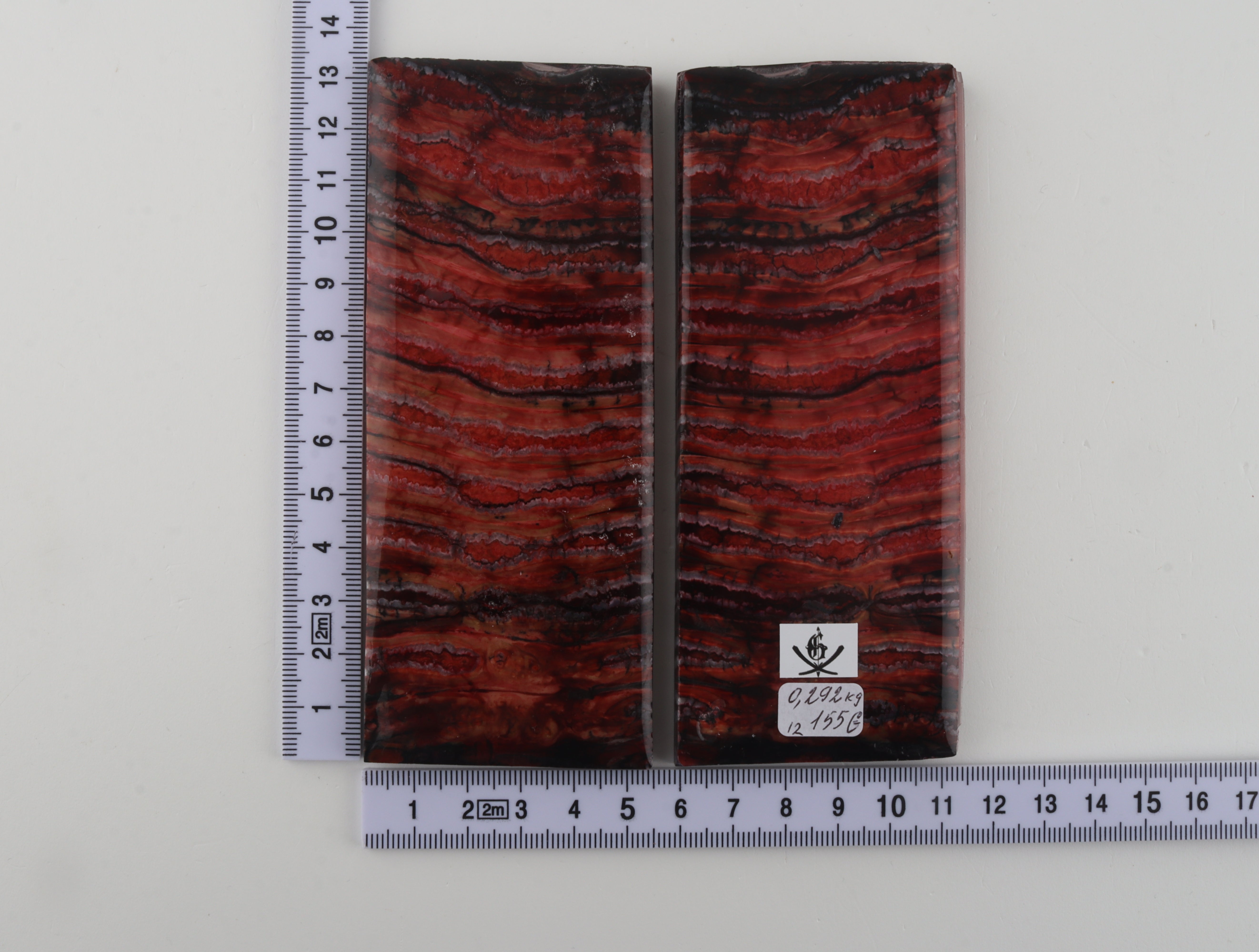 Stabilized mammoth molar scales – Arctic Antiques