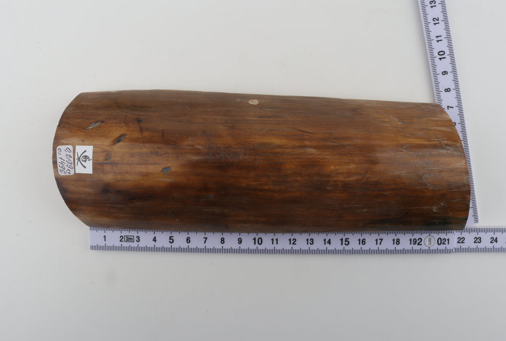 Natural mammoth bark – Arctic Antiques