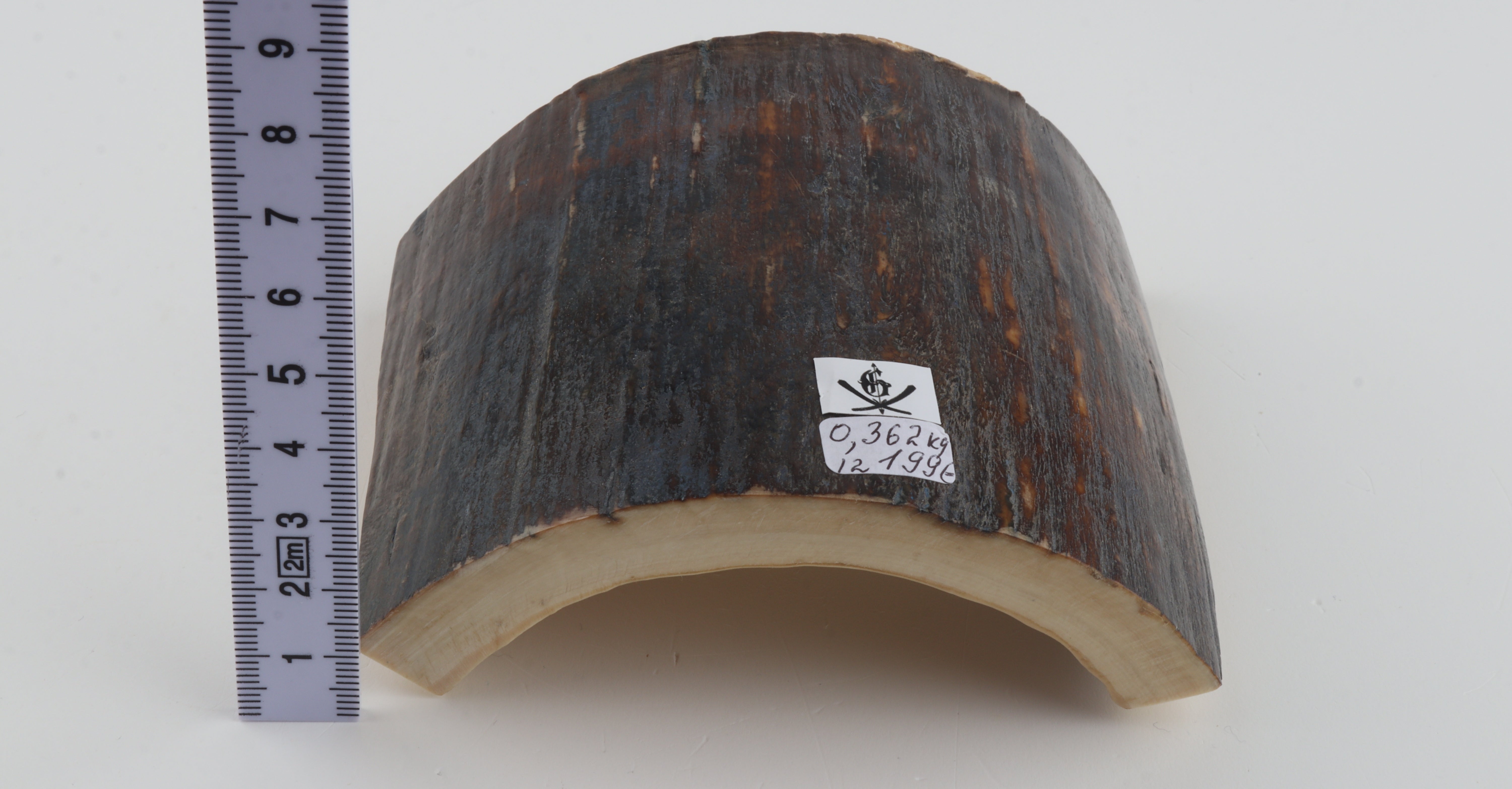 Brown-blue mammoth bark – Arctic Antiques