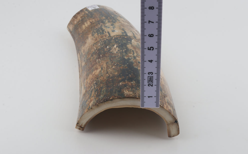 Natural mammoth bark – Arctic Antiques