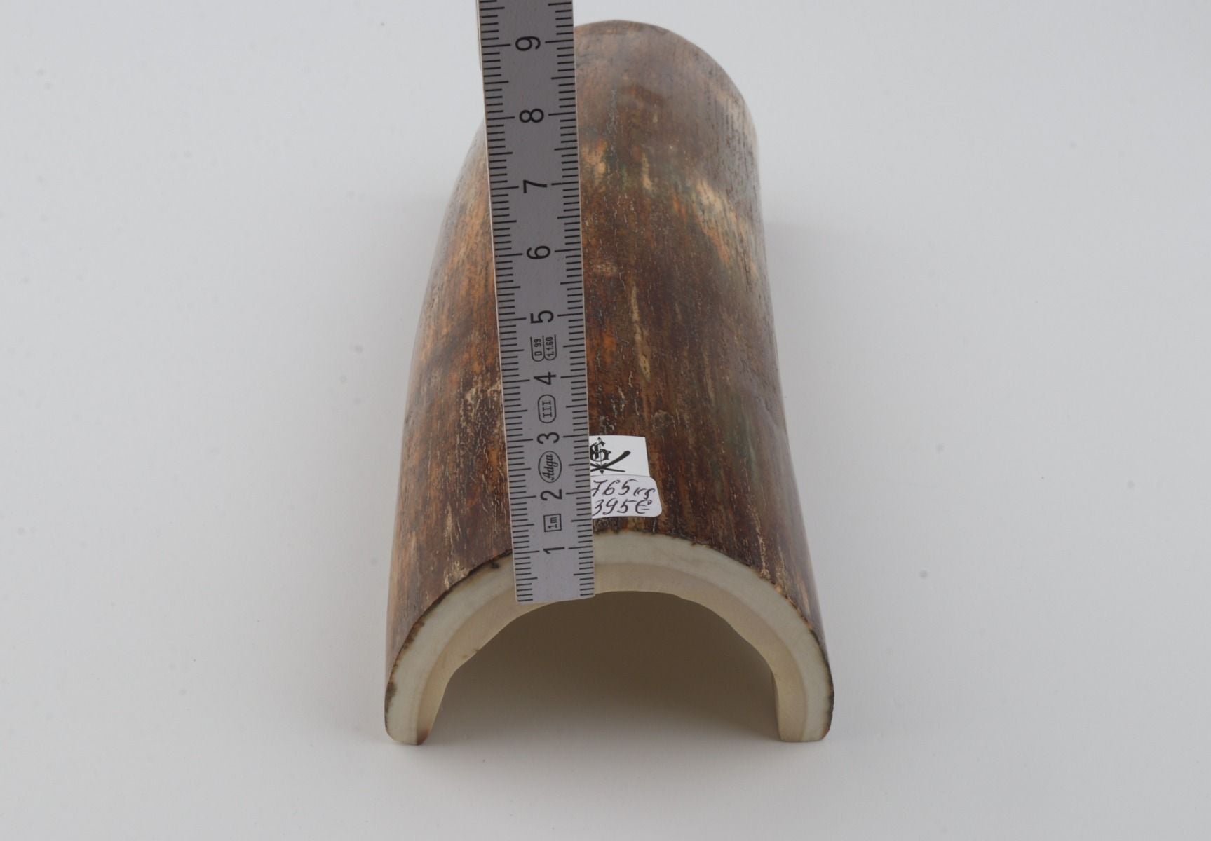 Natural woolly mammoth bark – Arctic Antiques