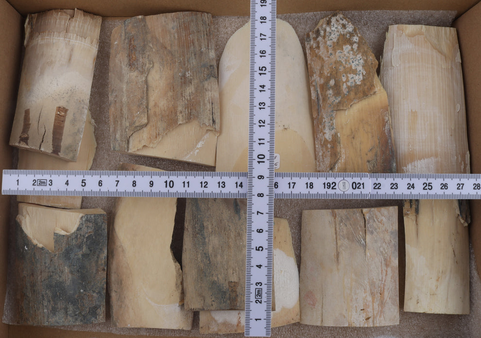 Raw mammoth ivory offcuts – Arctic Antiques