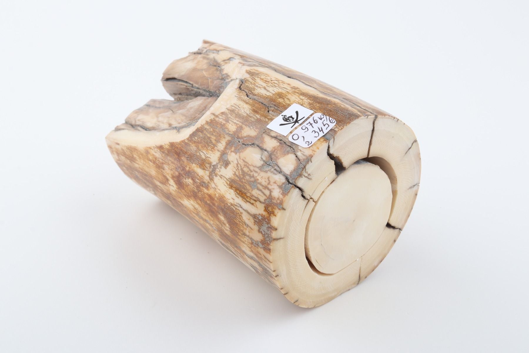 Natural mammoth ivory piece – Arctic Antiques